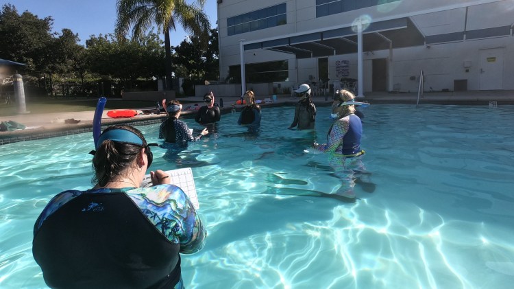 PADI Mermaid Instructor Courses – Visit our new store in the heart of ...