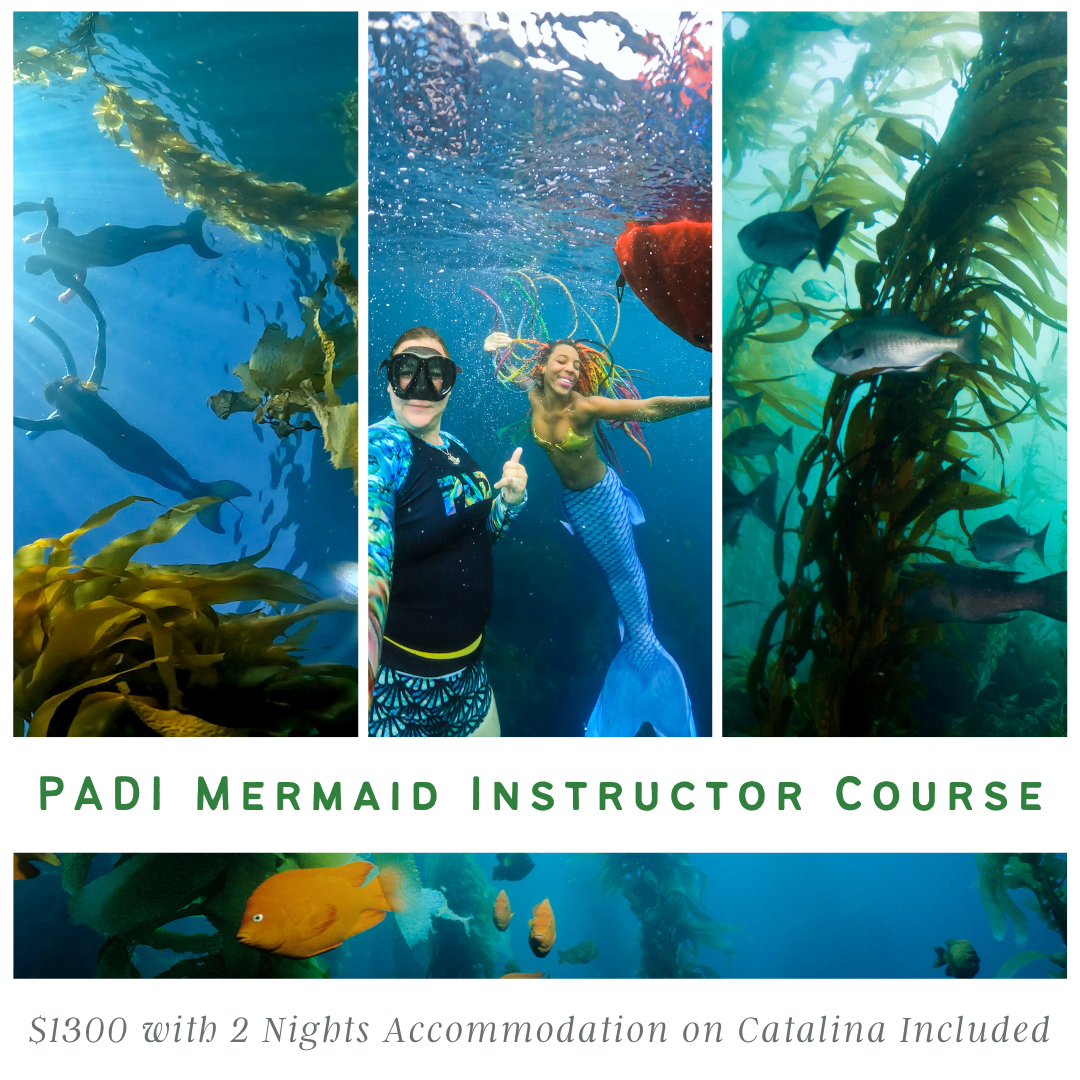 PADI Mermaid Classes – Visit our new store in the heart of Avalon!