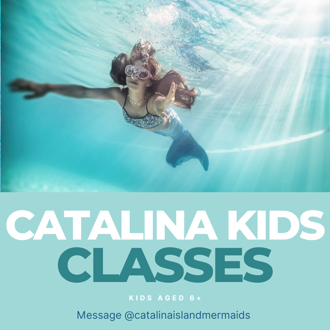 PADI Mermaid Classes – Catalina Island Mermaids