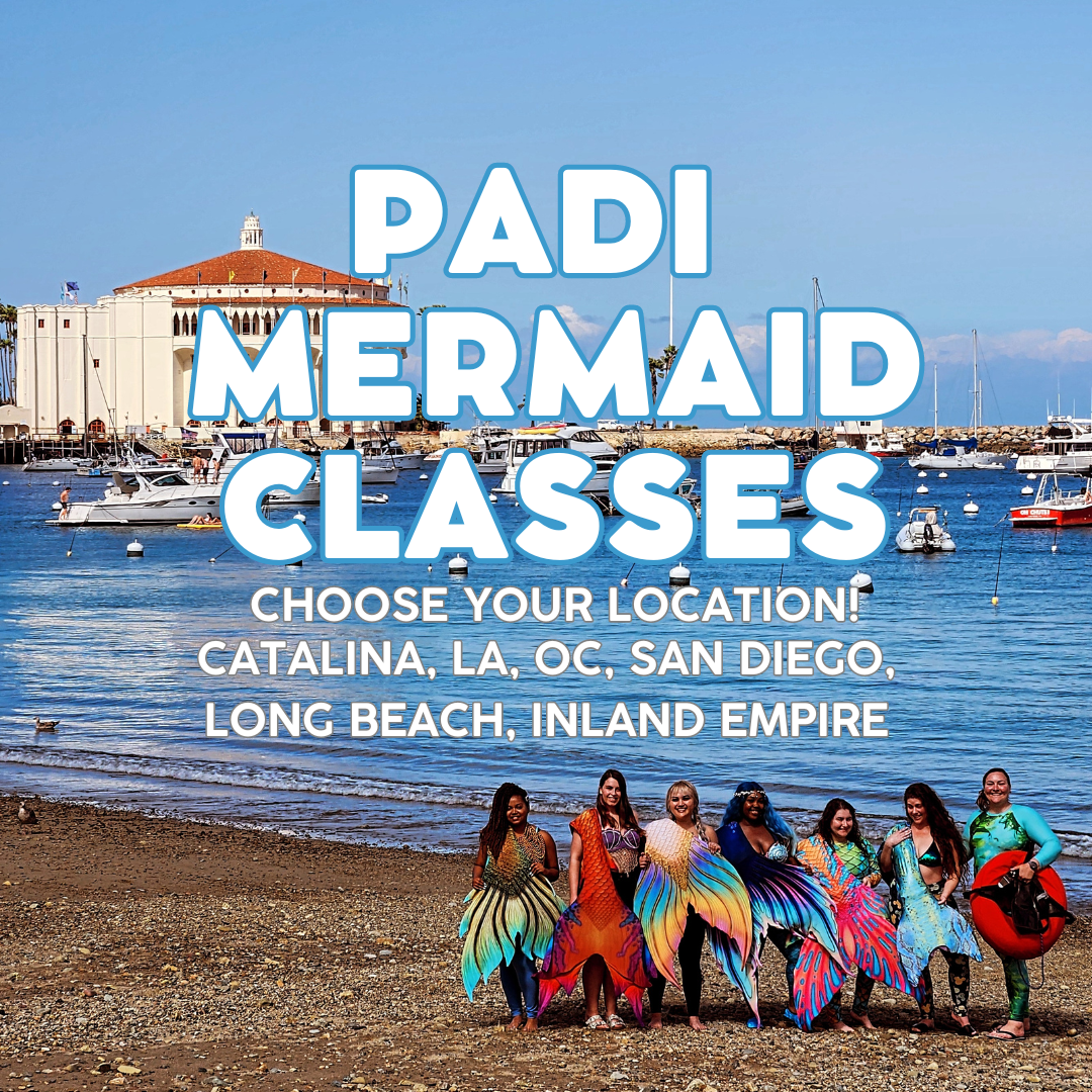 PADI Mermaid Classes – Visit our new store in the heart of Avalon!