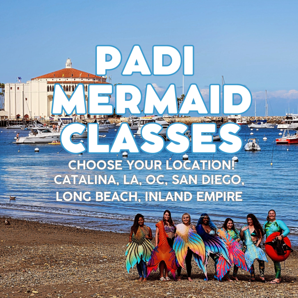PADI Mermaid Classes – Visit our new store in the heart of Avalon!